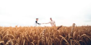 Who Was Adam In The Bible? The Story & Its Significance