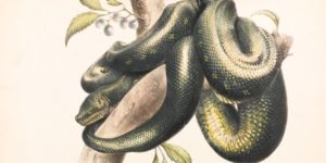 Who Was Adam In The Bible? The Story & Its Significance