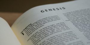 Who Was Adam In The Bible? The Story & Its Significance