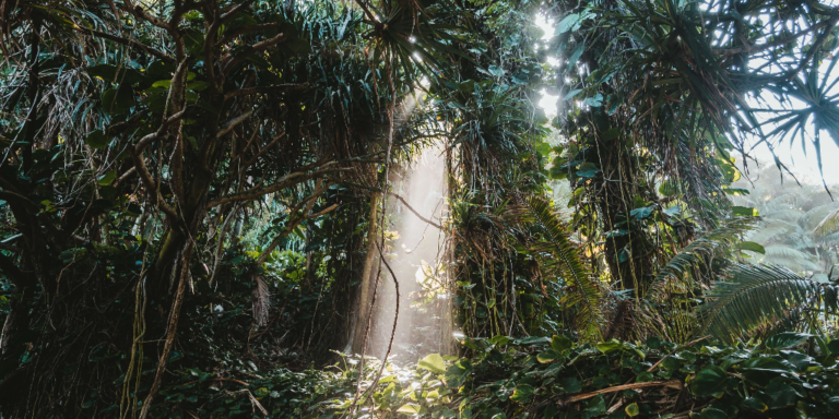 Righteous Anger: Definition & Examples From Scripture