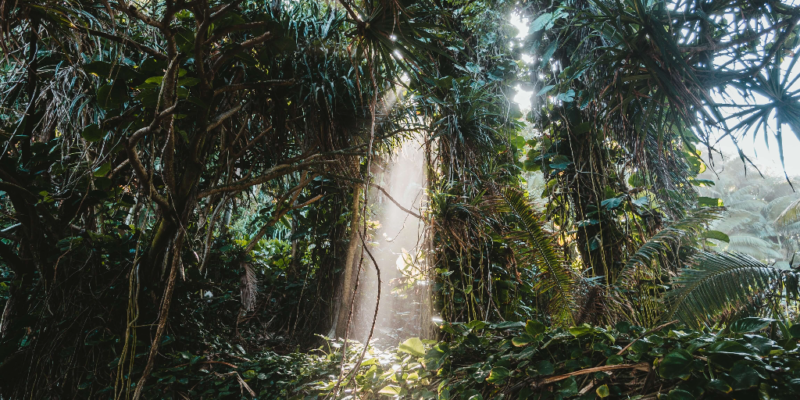 Righteous Anger: Definition & Examples From Scripture