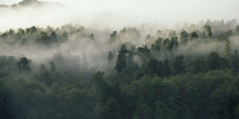 Righteous Anger: Definition & Examples From Scripture